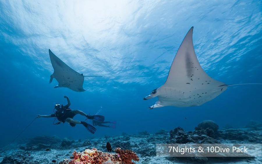 Scuba Diving Maldives - Scuba Diving Packages in Addu Maldives